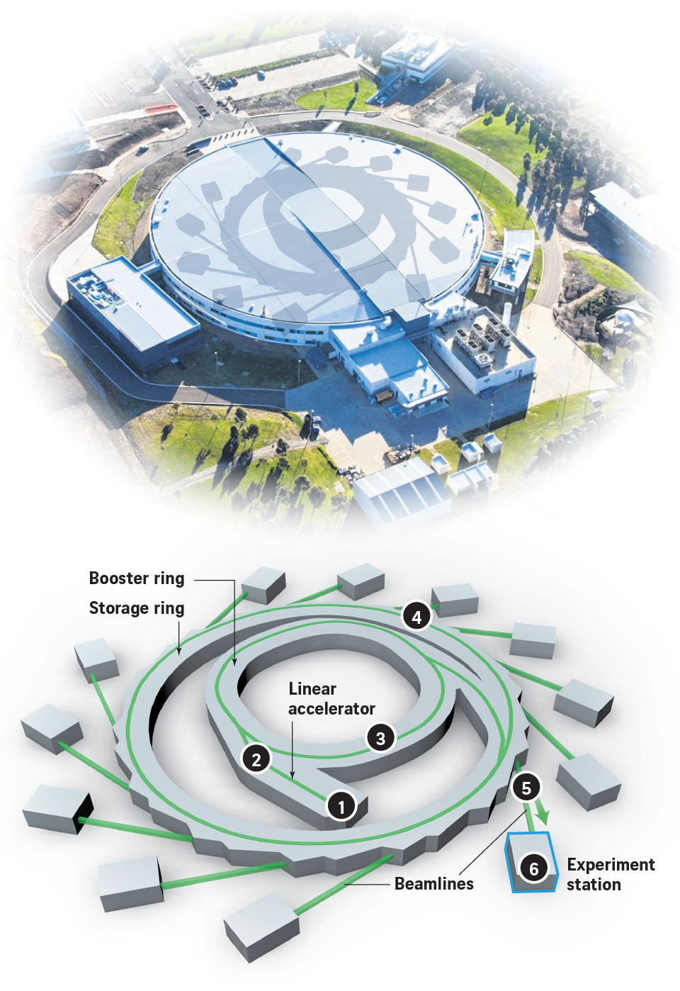 An Australian ‘lightbulb’ that illuminates science secrets | The ...