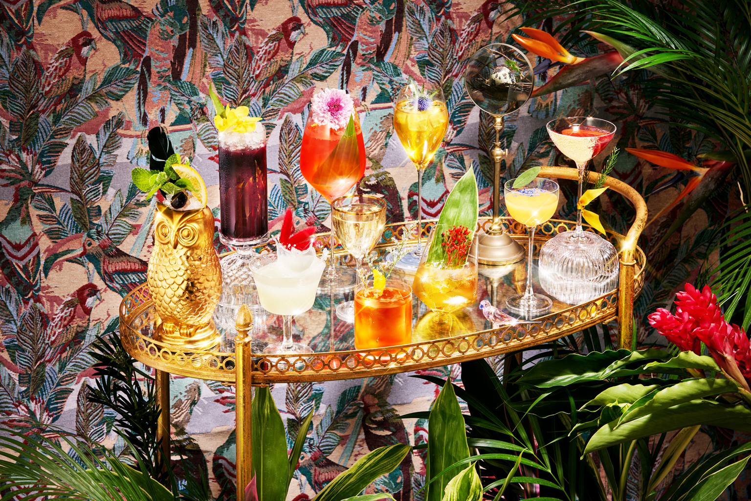 Sip on the Crimson Sunbird or Asian Koel: Take flight with creative ...