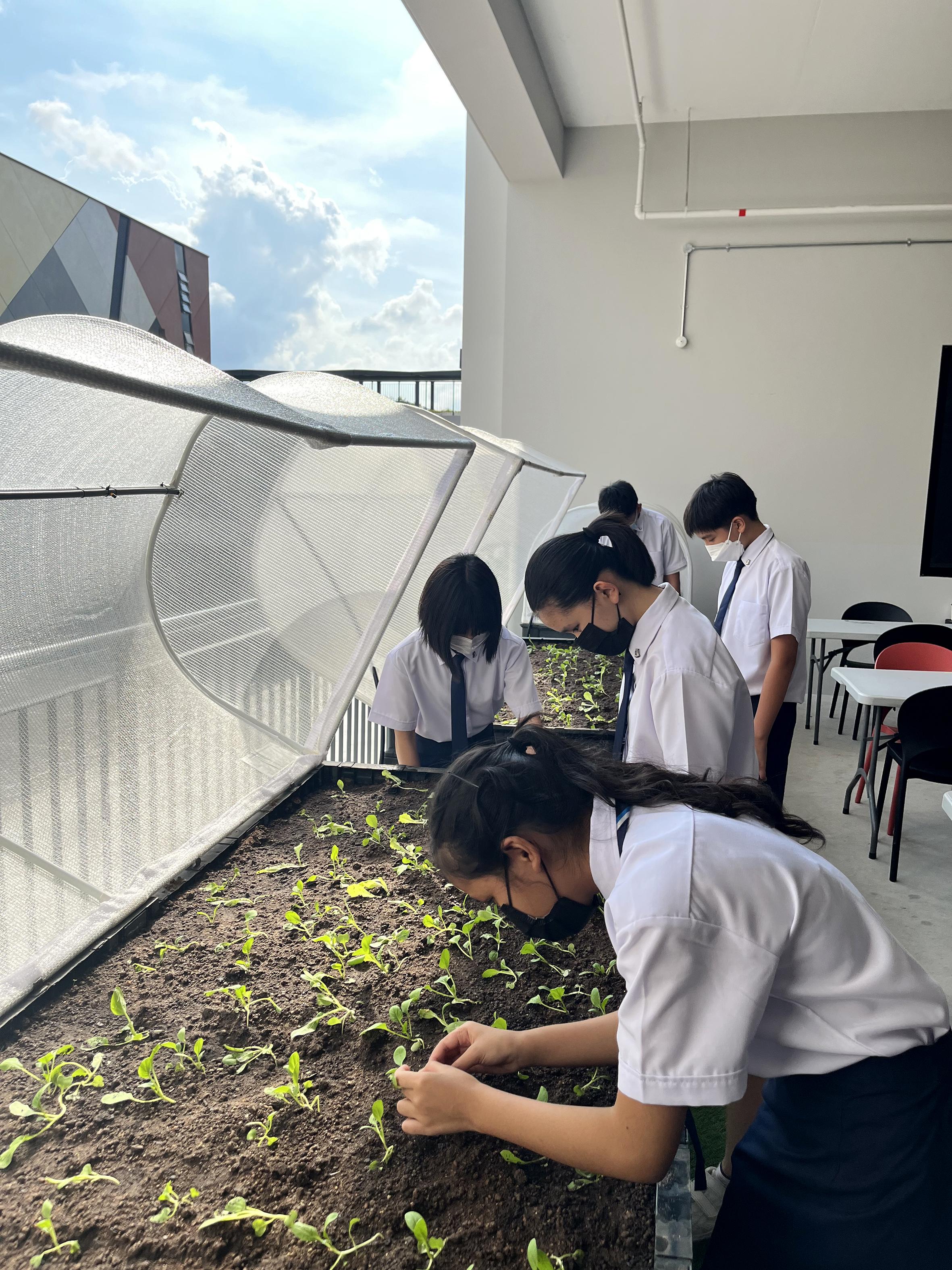 Yusof Ishak Secondary School’s new Punggol campus wins award for ...