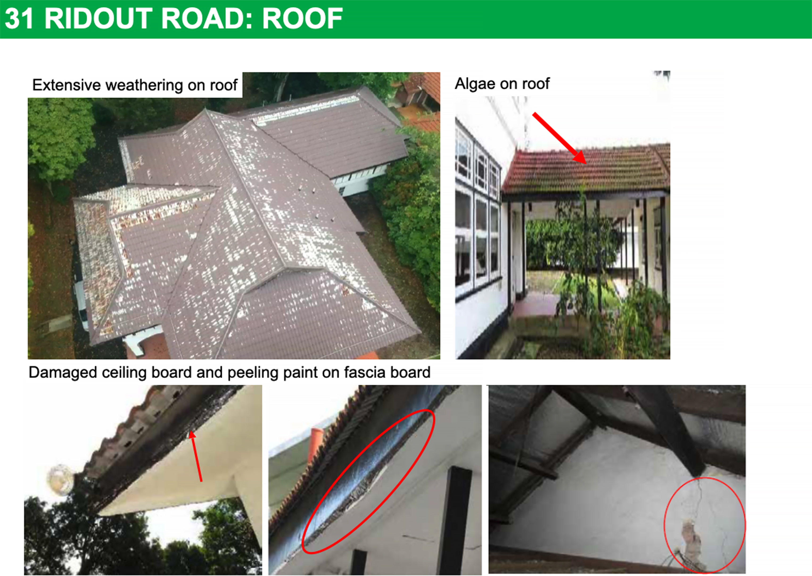 Having extended family under one roof reason for renting Ridout Road ...