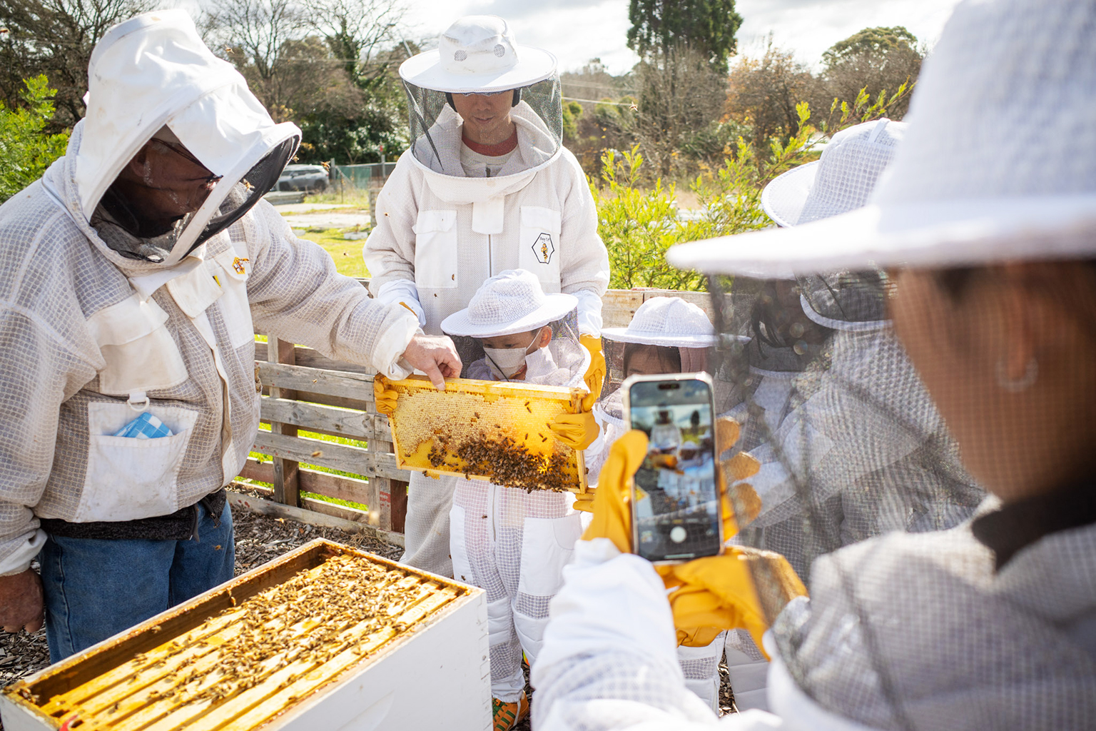 Be a beekeeper for a day, meet friendly alpacas and go whale watching ...