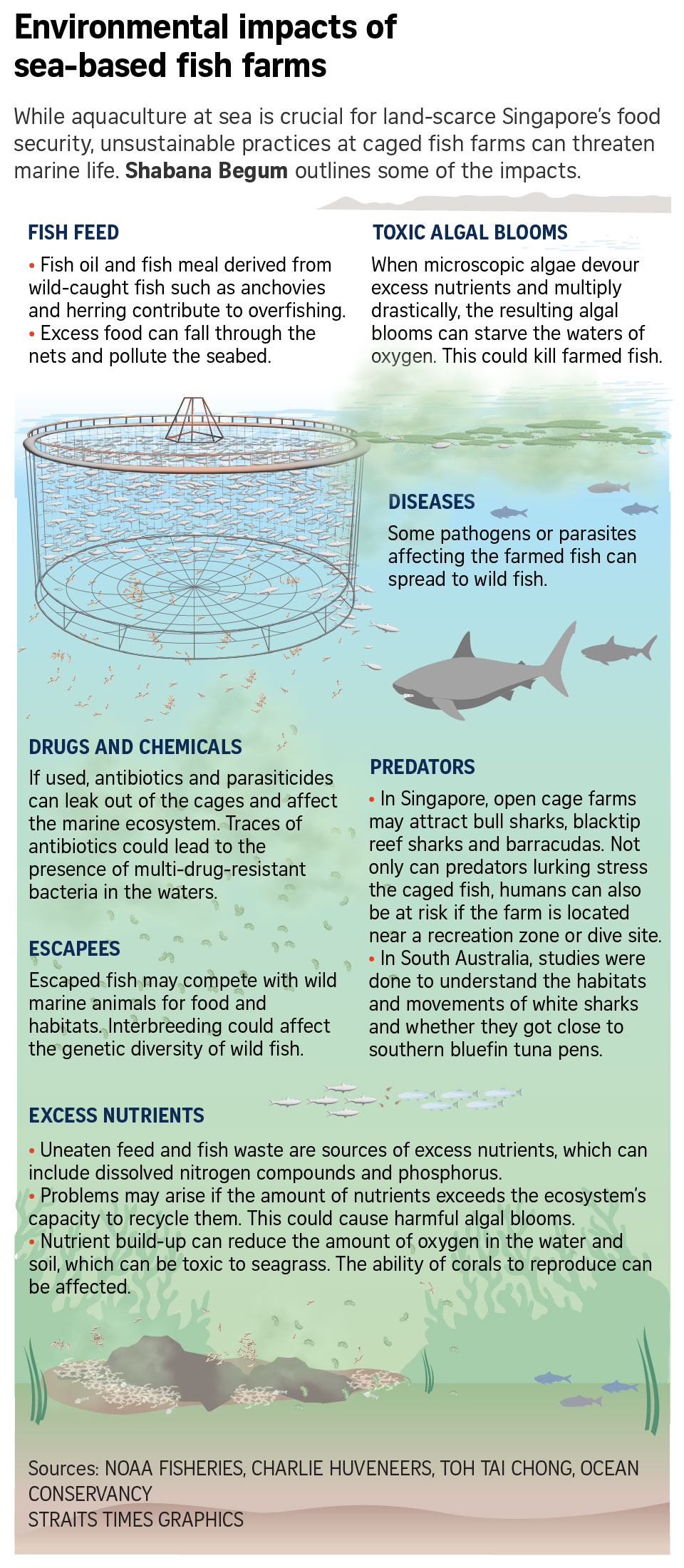 Offshore fish farms may need to step up sustainable practices to ...