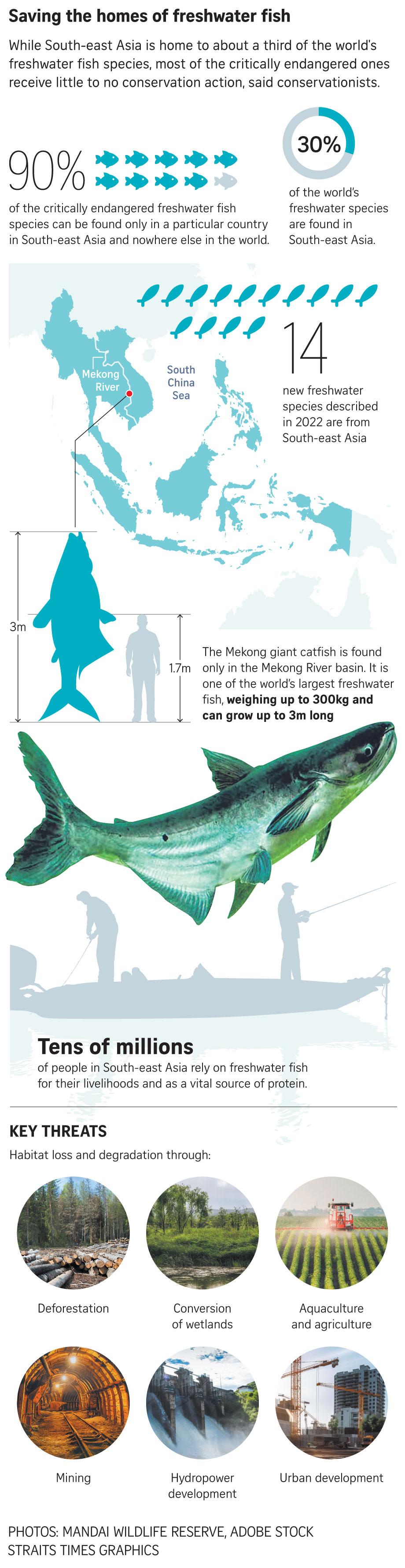 New framework calls for urgent conservation of freshwater fish in South ...