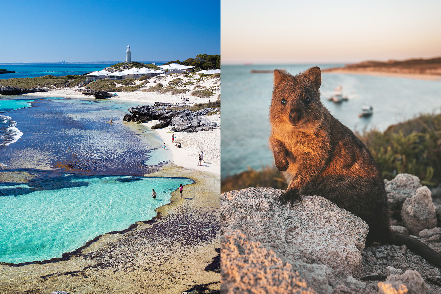 From ziplining over the Swan River to hauling in your own lobster: The ...