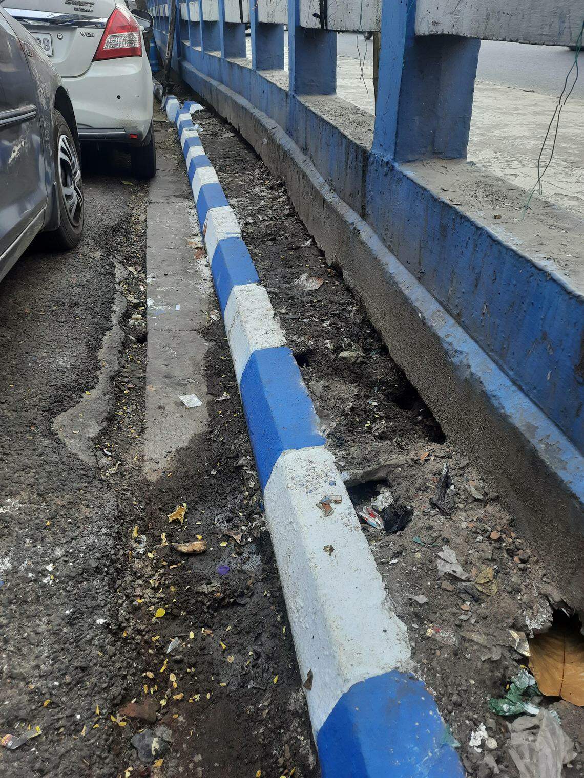 It’s a rat race in Kolkata, and the rats seem to be winning | The ...