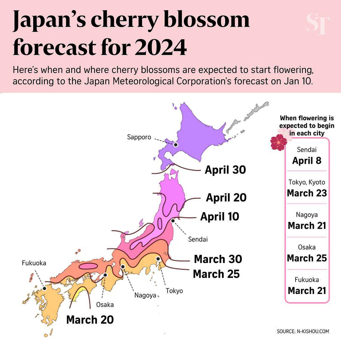 Tokyo expected to be mainland Japan’s earliest bloomer in sakura season | The Straits Times