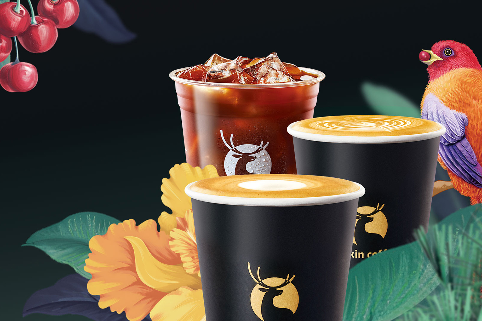 Beyond the everyday brew: Elevate your coffee experience with expertly ...