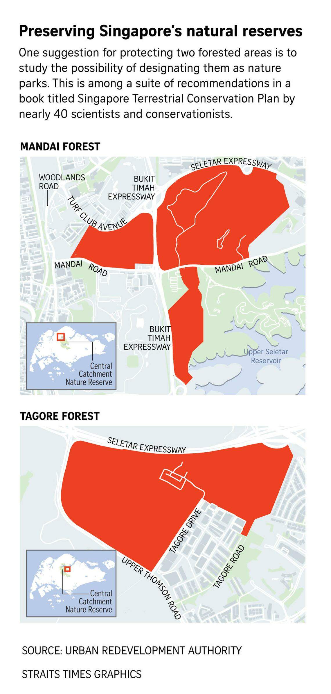 Scientists, conservationists call for Mandai, Tagore forests to be ...