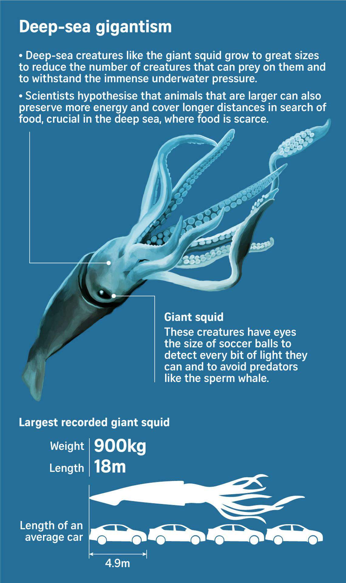 From cities of whale flesh to vents of sulphur and stone: Explore the ...