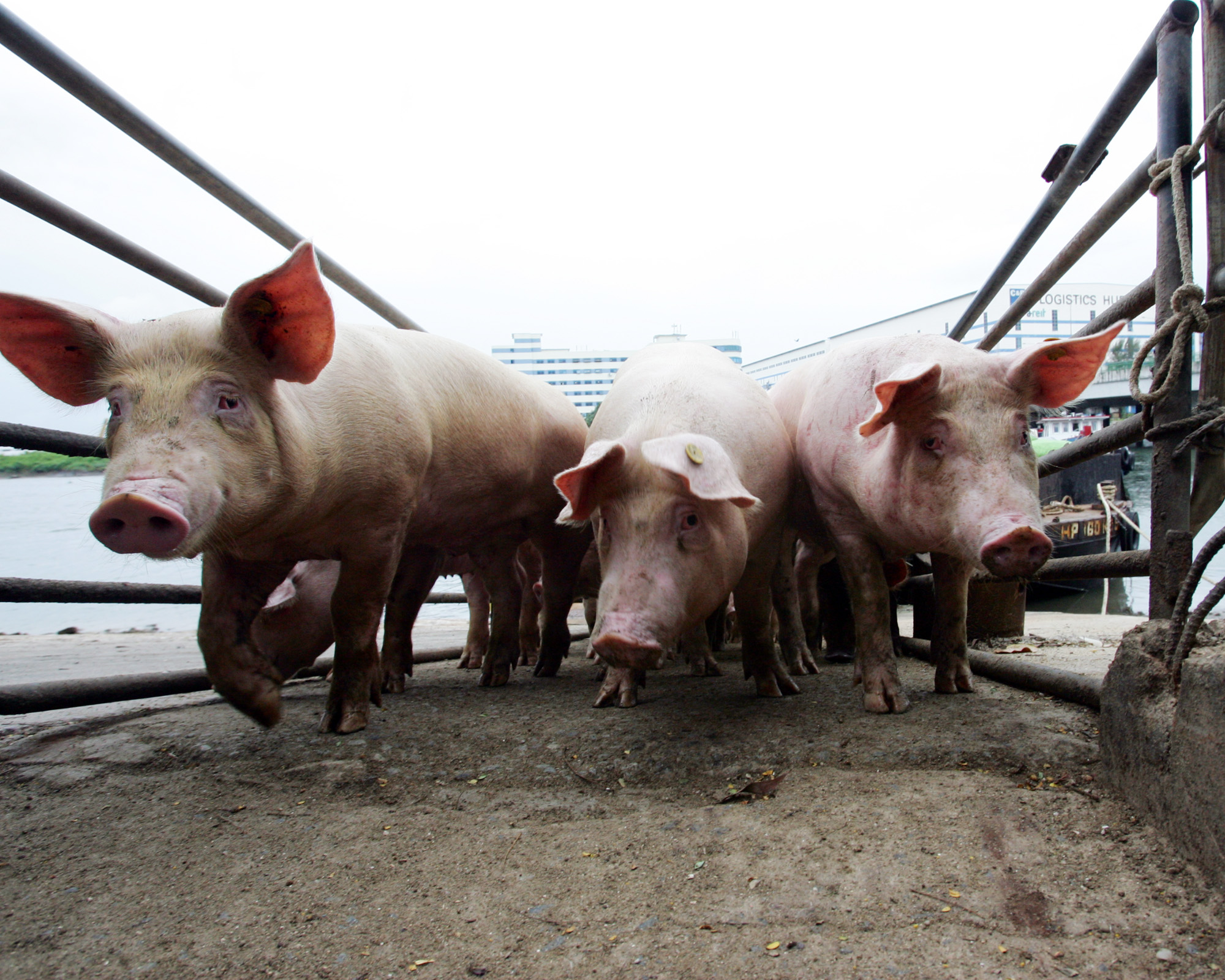 Judith Tan | The Straits Times