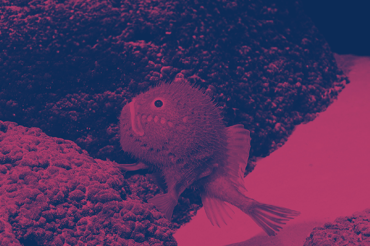 Latest Interactive graphics | The Straits Times