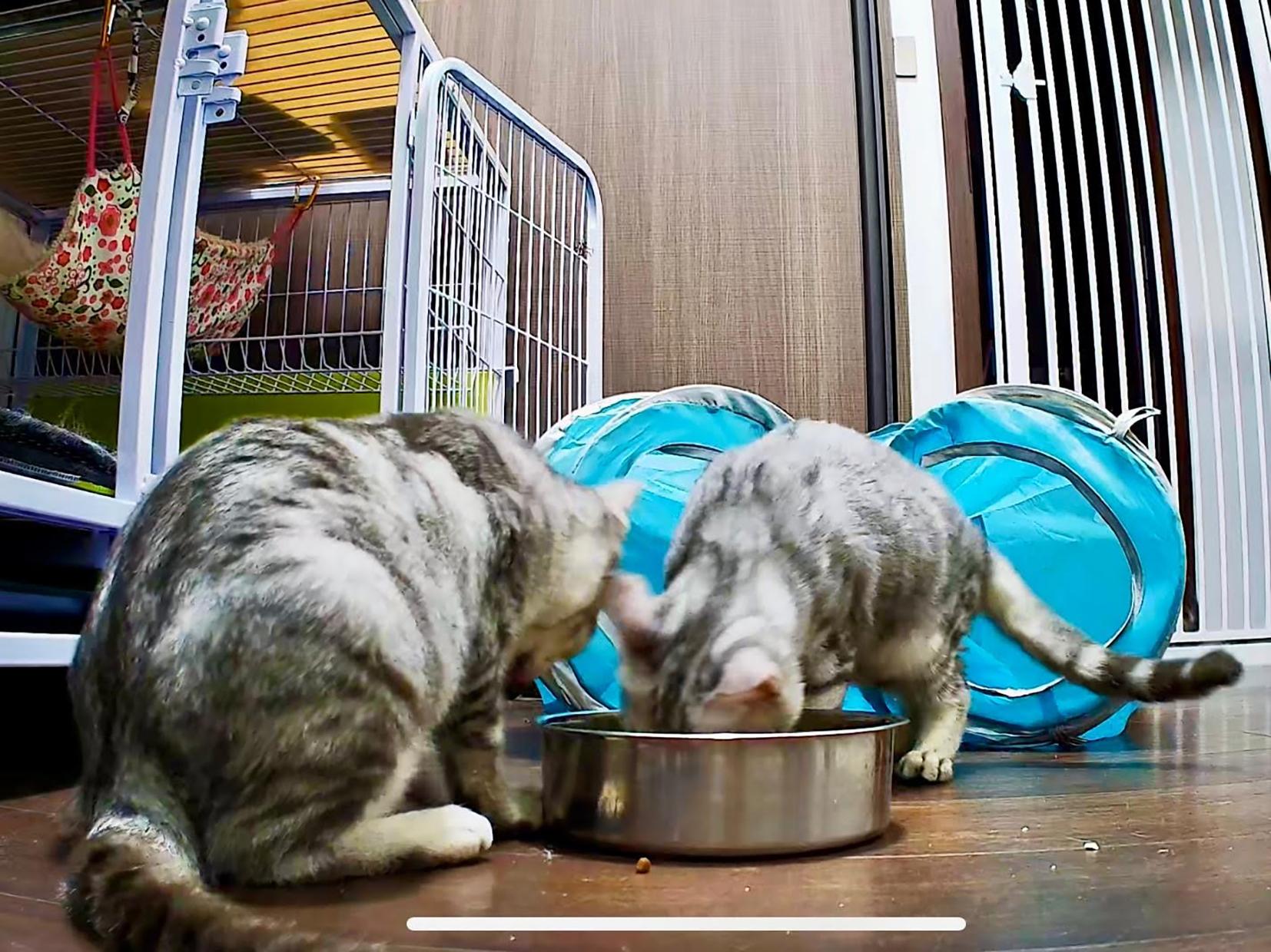 Judith Tan | The Straits Times