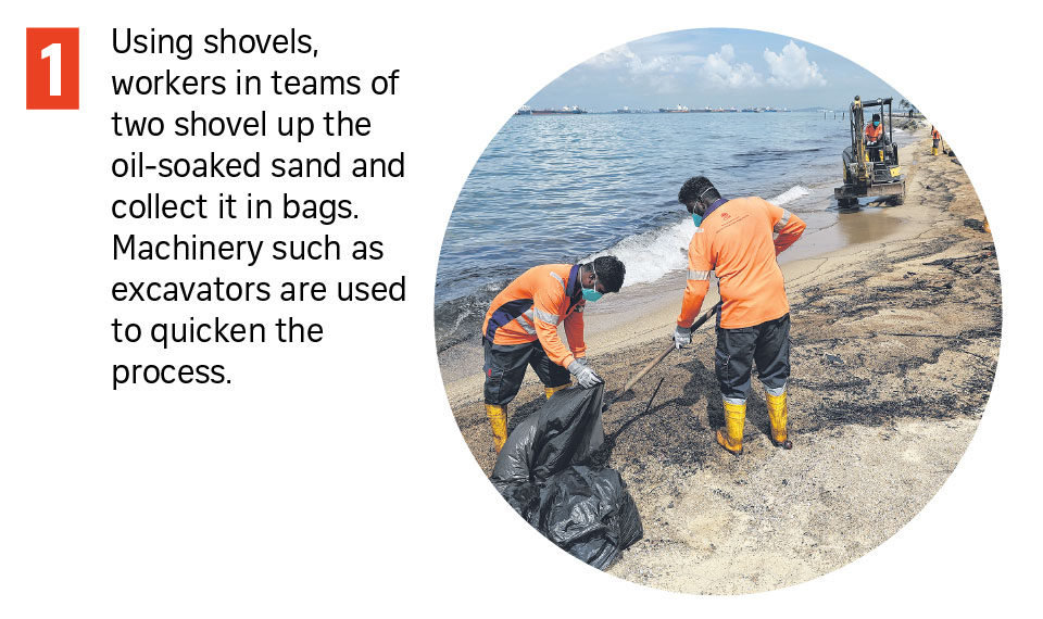 ST Explains: What happens to oil-soaked sand after it is removed from S ...