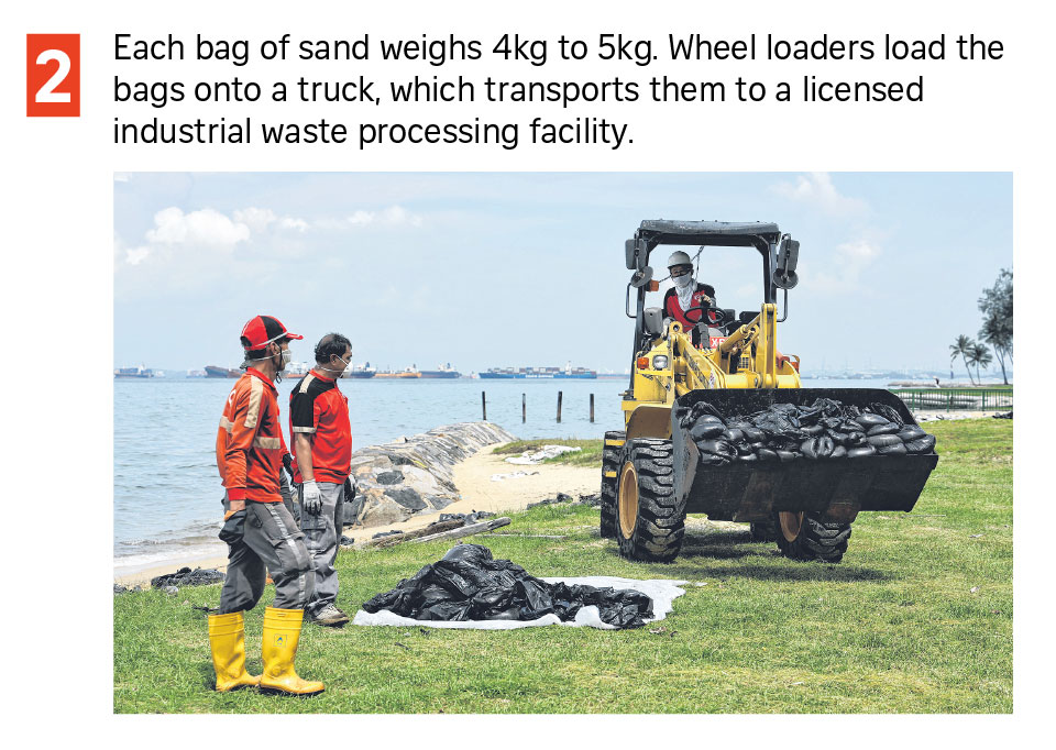 ST Explains: What happens to oil-soaked sand after it is removed from S ...