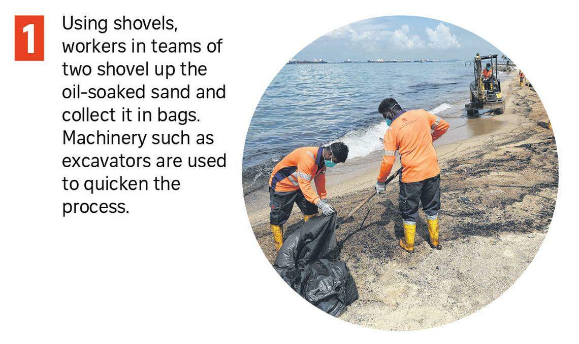 Volunteers may be called on to help with final phase of beach cleanups ...