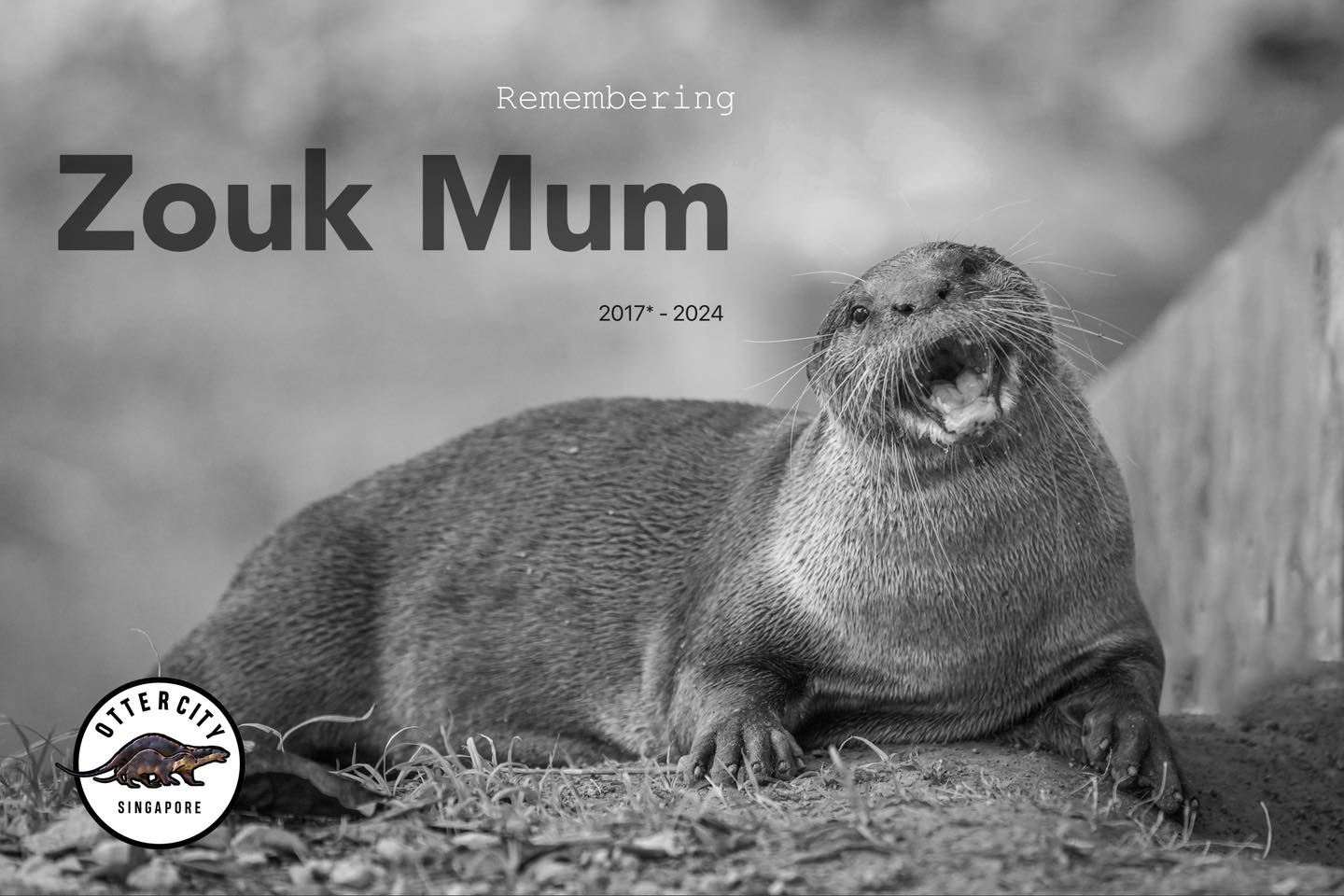 Sarah Koh | The Straits Times