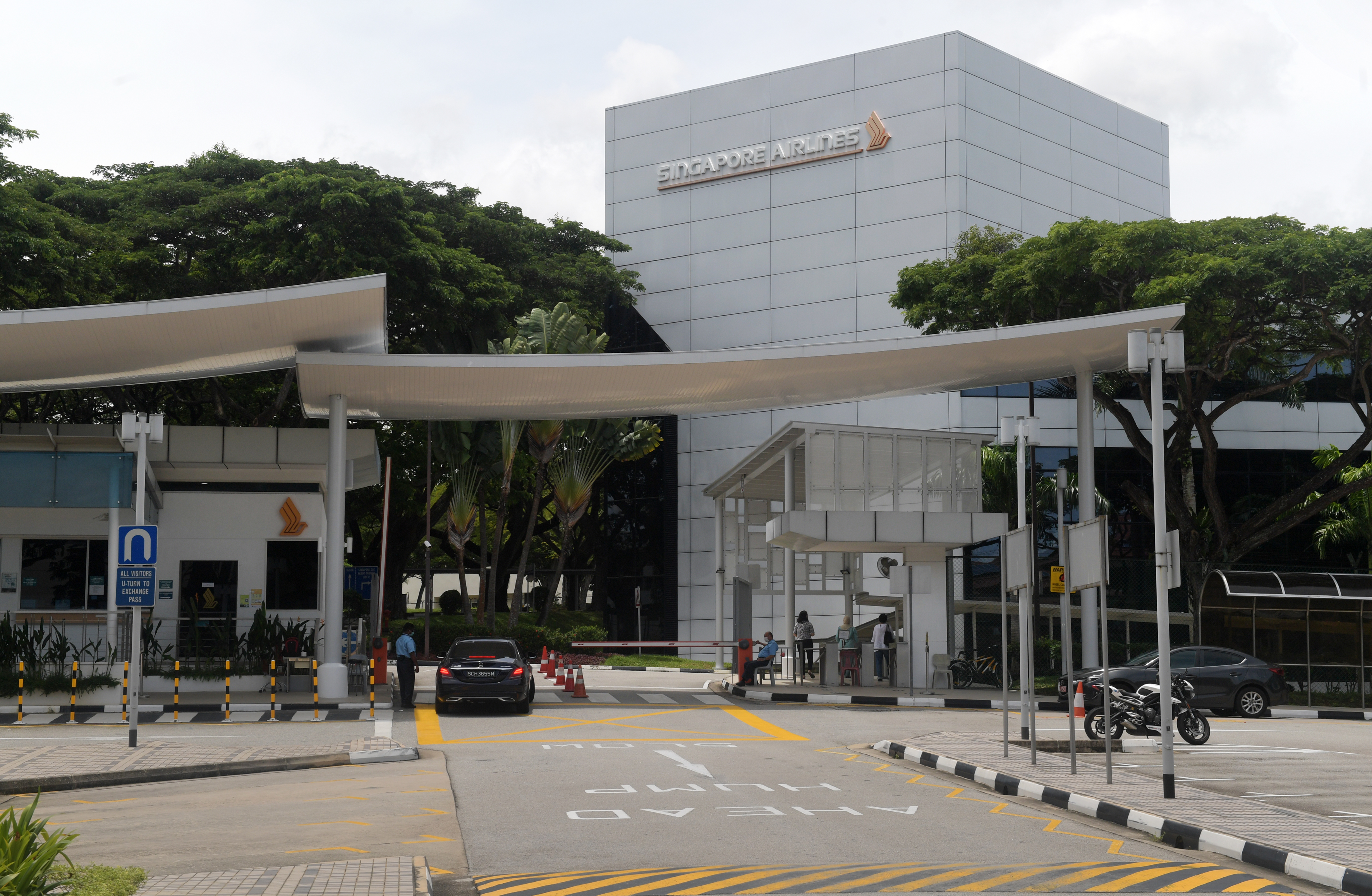 Latest Singapore Airlines | The Straits Times