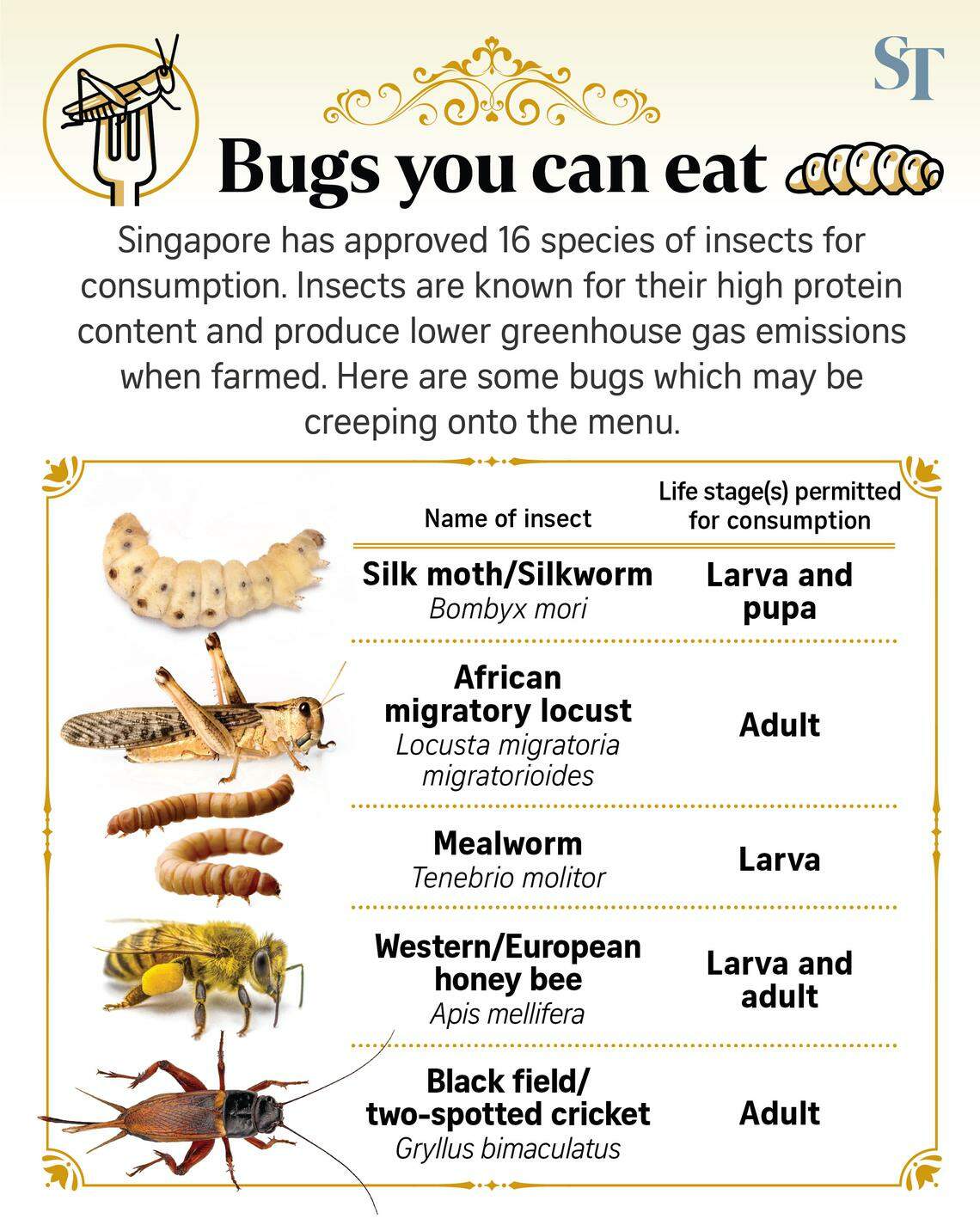 SFA approves 16 insect species for food; companies gear up to offer new ...