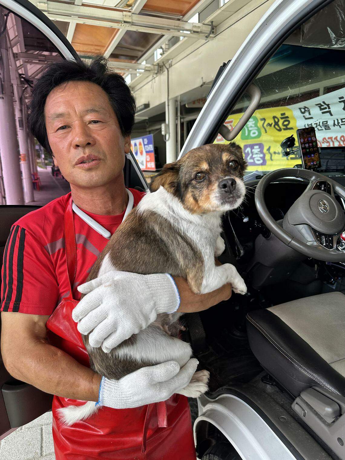 South Korea eschews dog stews for black goat stews to beat summer heat ...