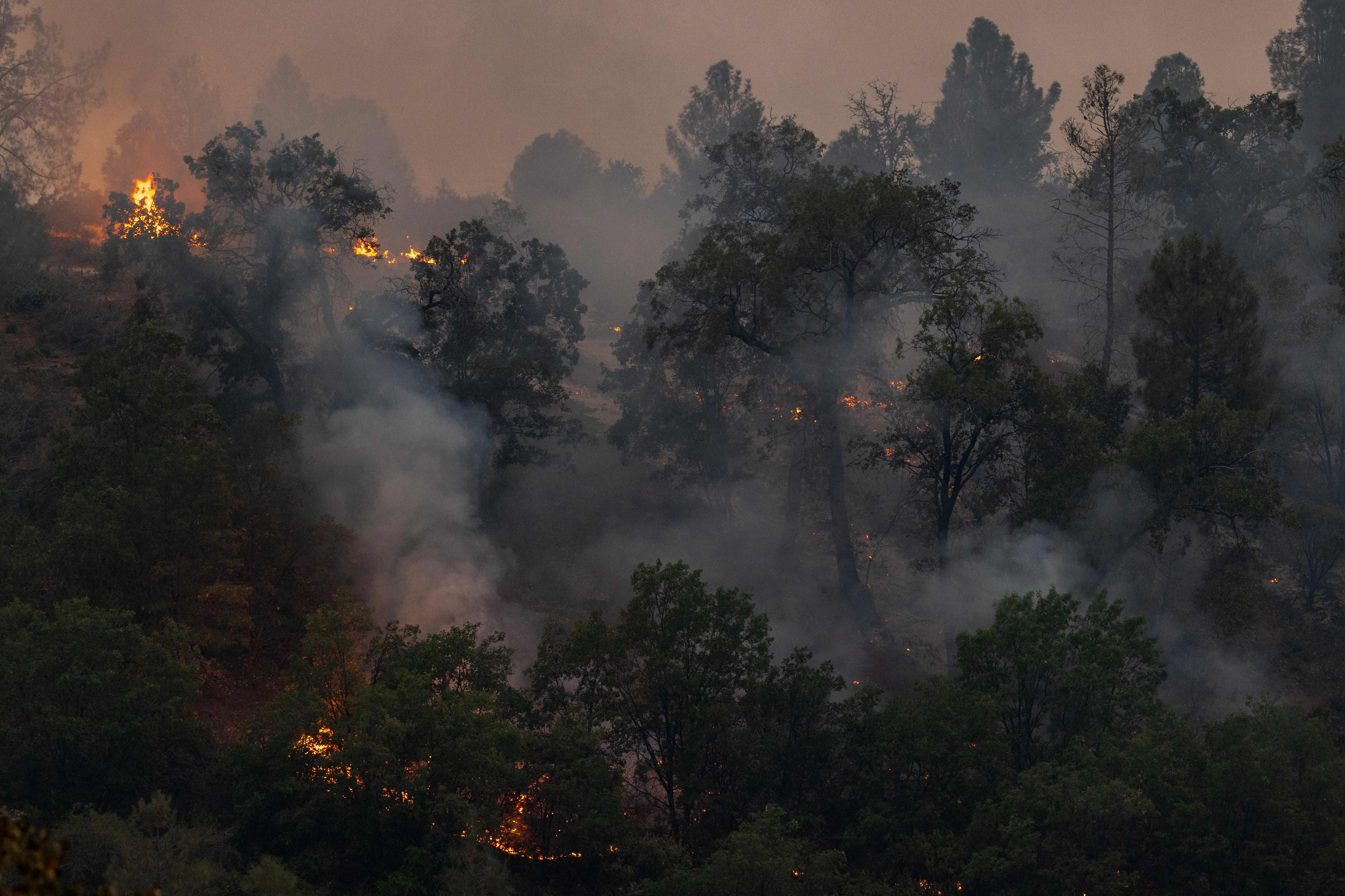 Latest Fires | The Straits Times