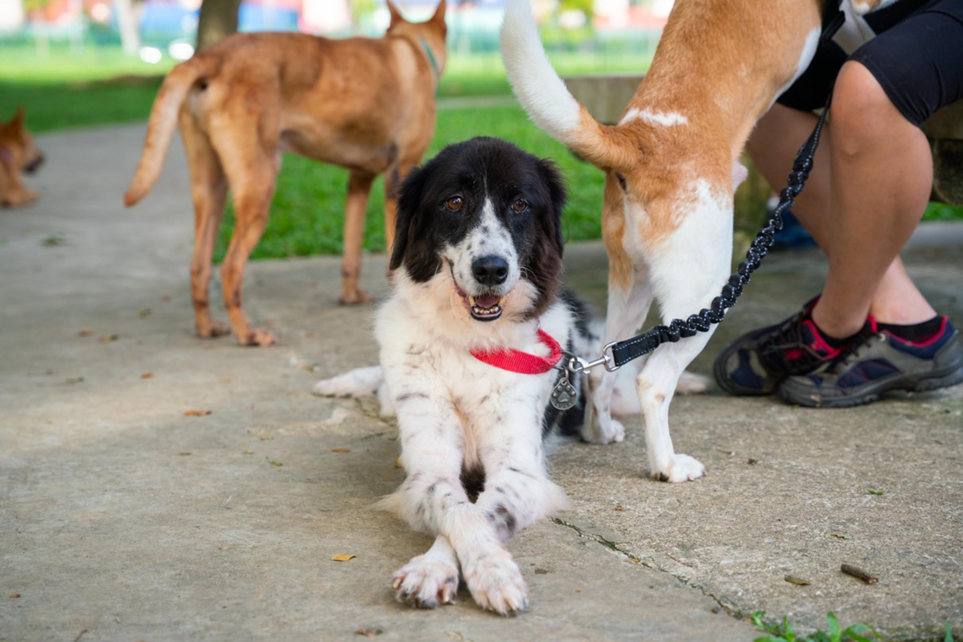 Judith Tan | The Straits Times