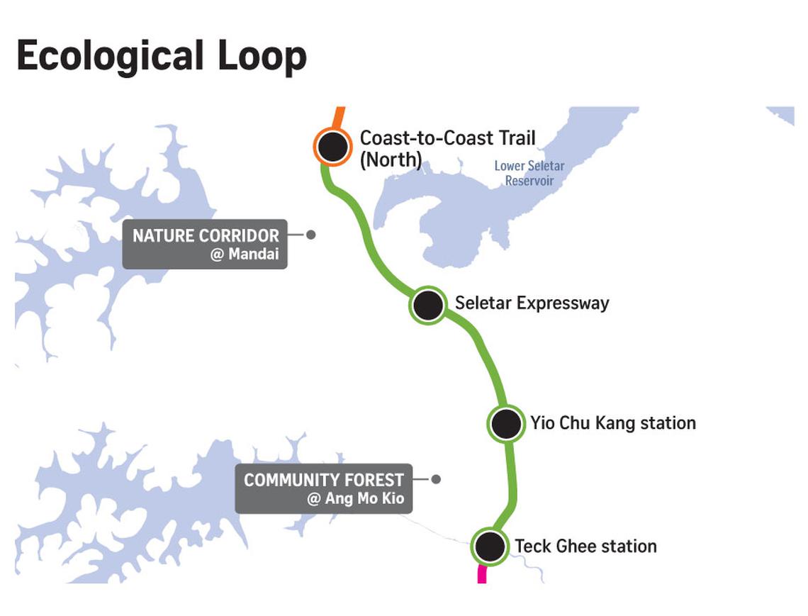 North-South Corridor could include iconic public space in Rochor ...