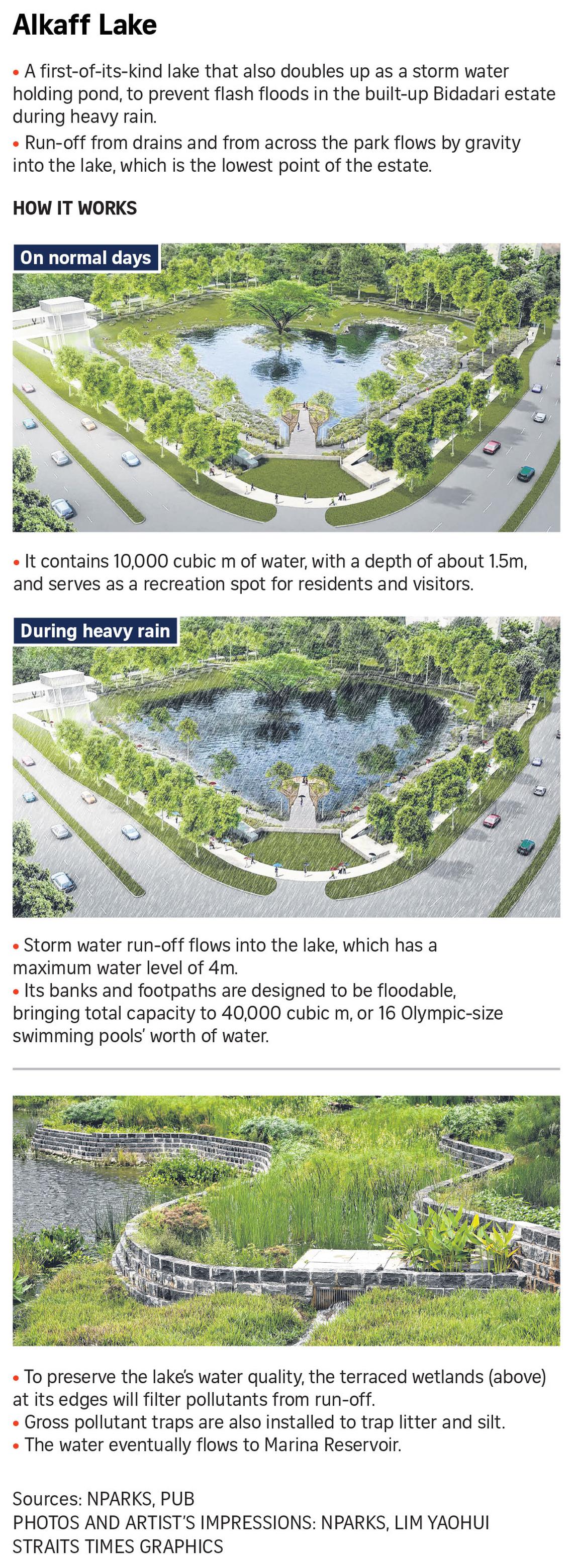 New Hundred Acre Wood-inspired park in Bidadari has a freshwater lake ...