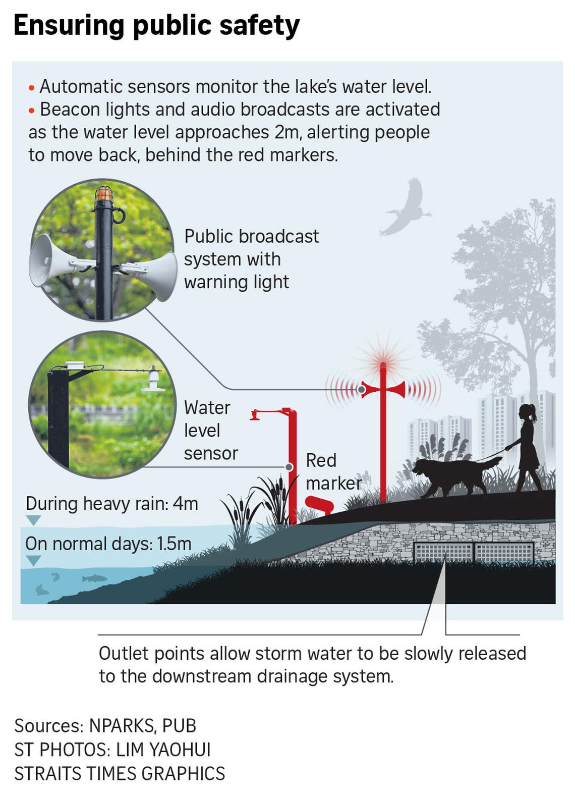 New Hundred Acre Wood-inspired park in Bidadari has a freshwater lake ...