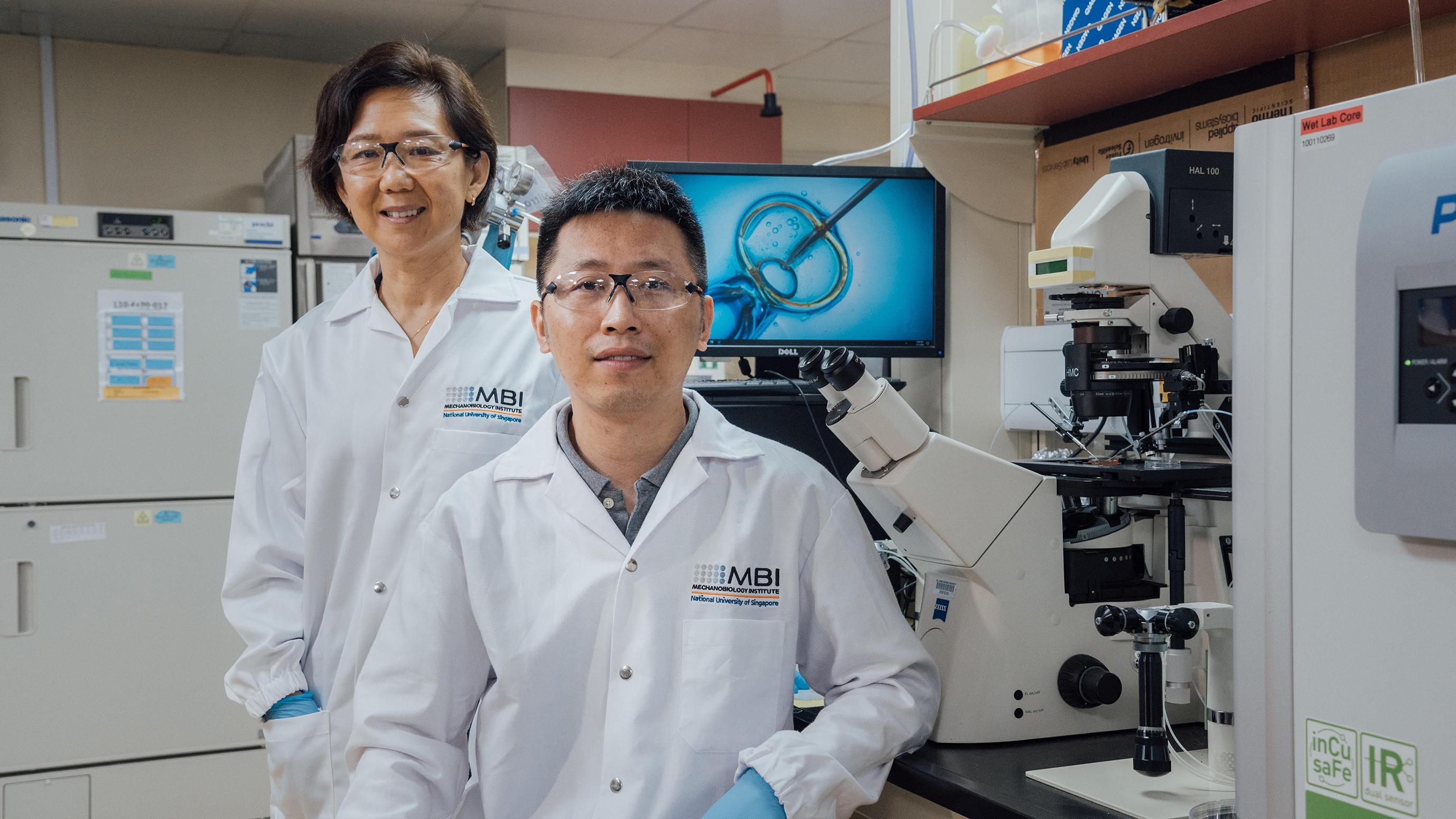 Judith Tan | The Straits Times