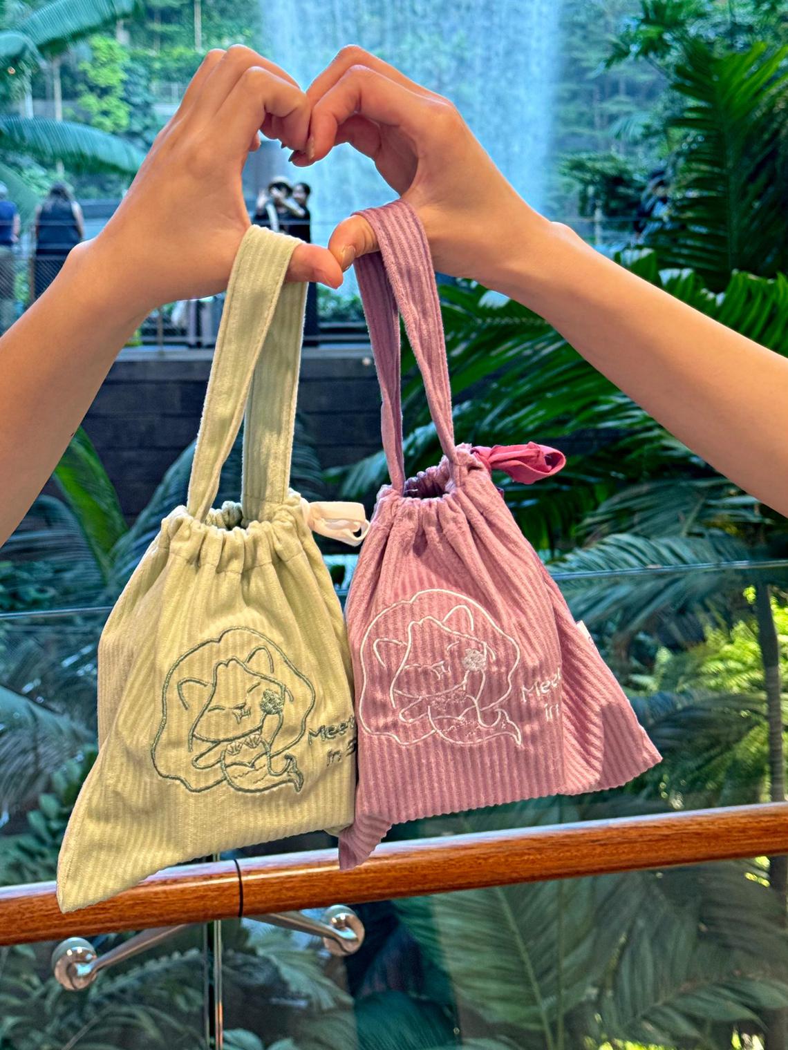 Chinese tourists take the road less travelled in S’pore, thanks to ...