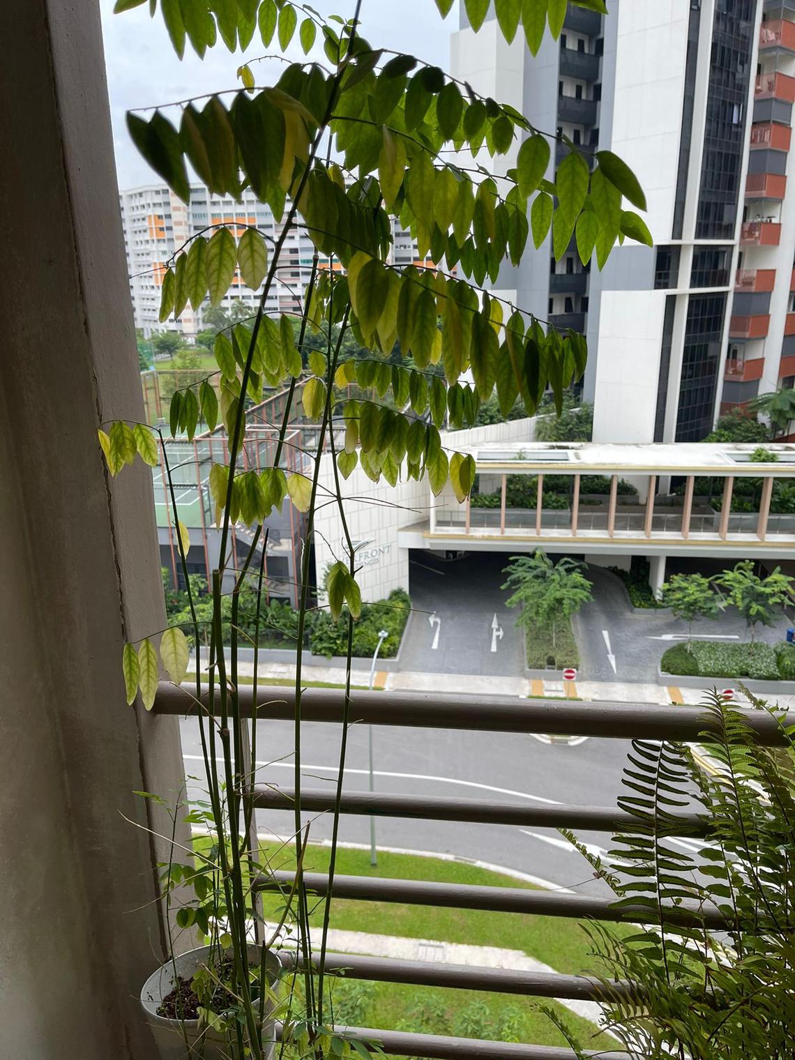 Root Awakening: Avoiding use of pesticides is better for the ...