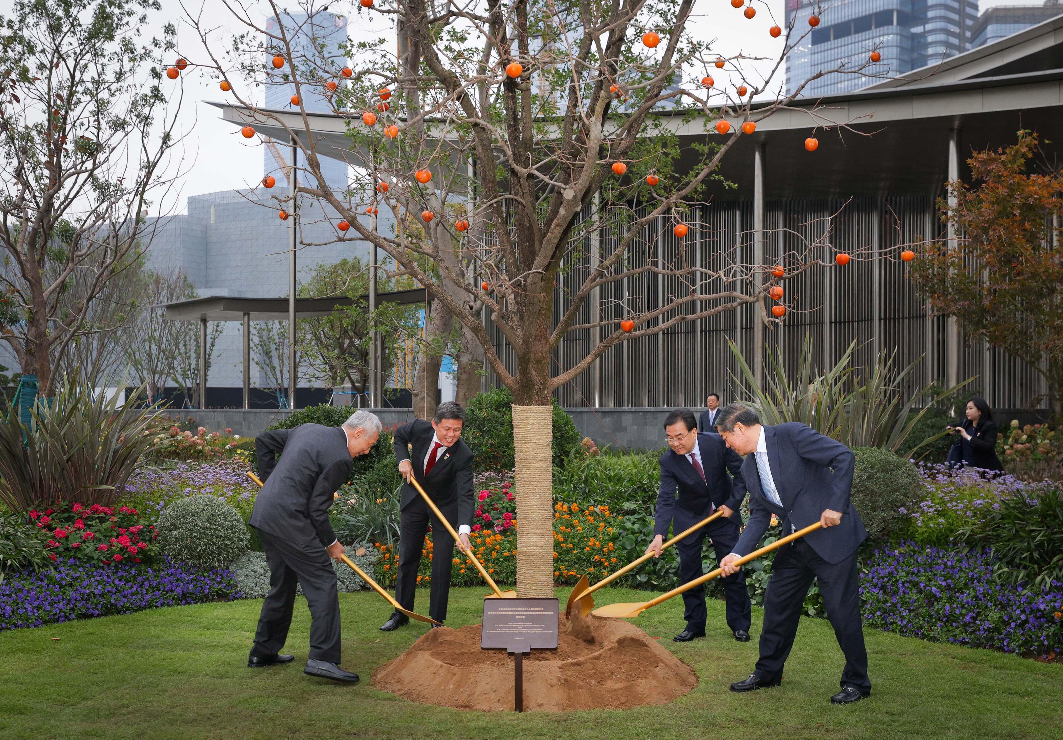 Latest Opinion News & Headlines, Top Stories Today - The Straits Times