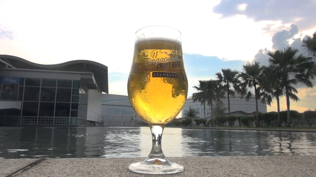 Newbrew, a beer made using Newater, to go on sale in Singapore | The ...