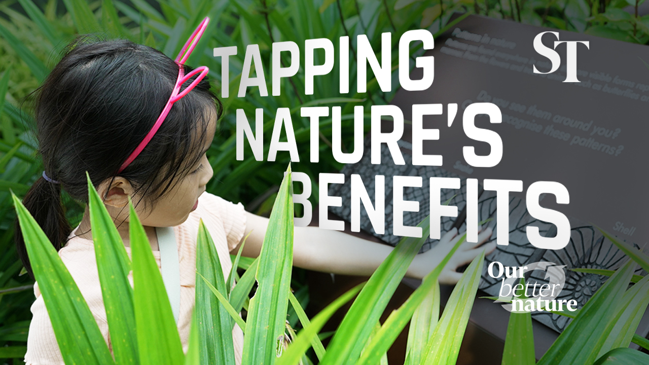 Our Better Nature video series: Tapping nature's benefits for mental ...