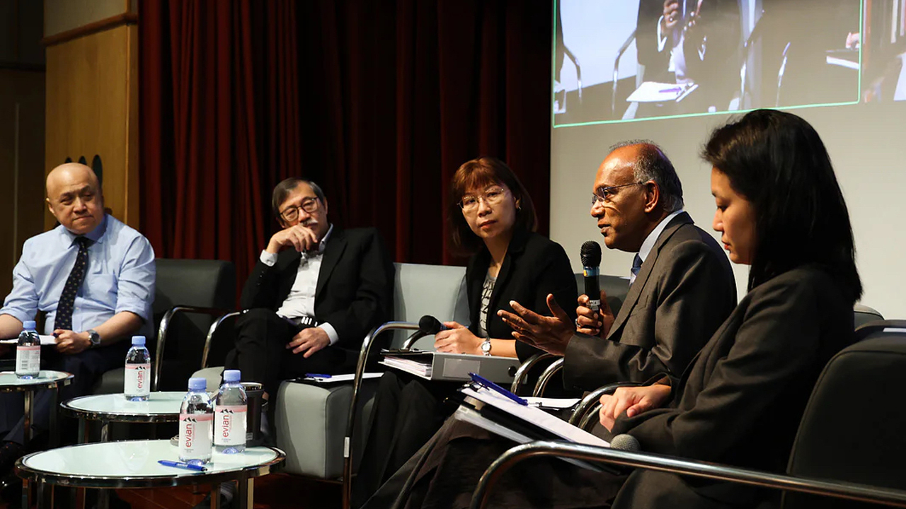 Real risk of courts striking down Section 377A in future if law is not ...