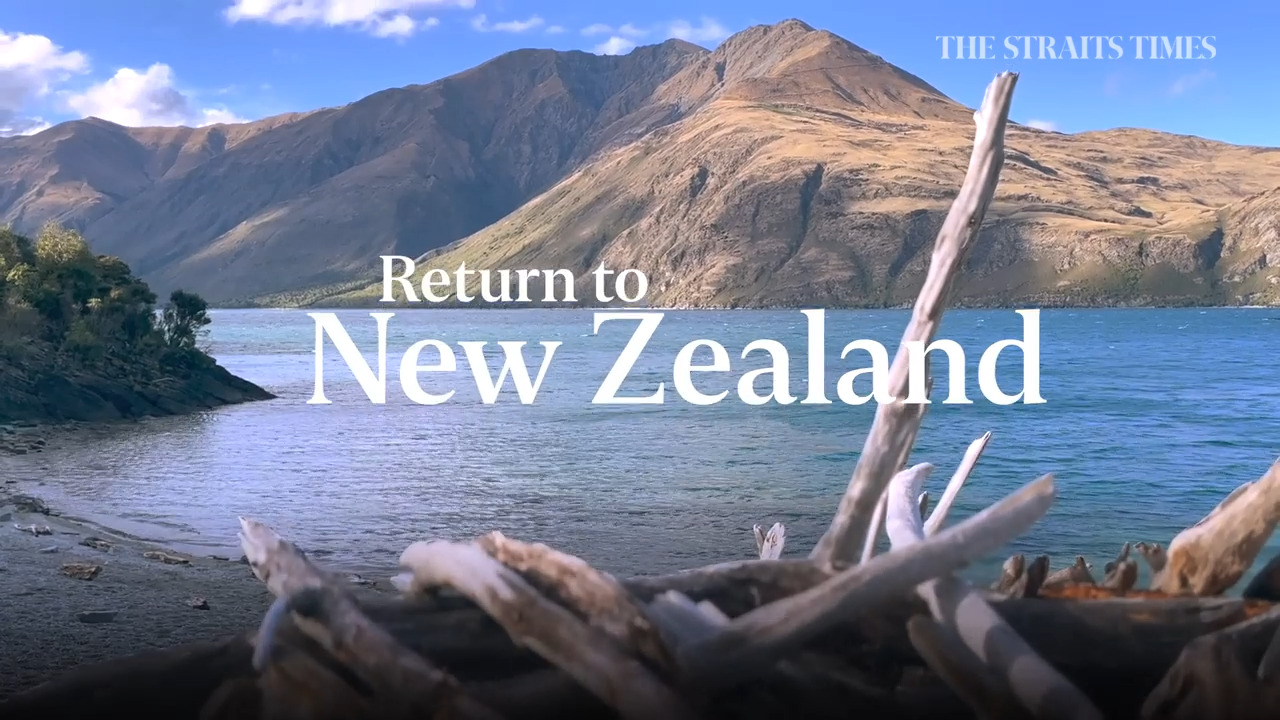Return to New Zealand: Relive old favourites and unearth new gems as ...