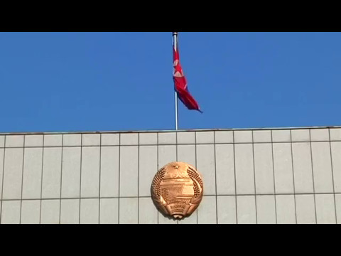 Pyongyang university confirms North Korea's arrest of another US ...