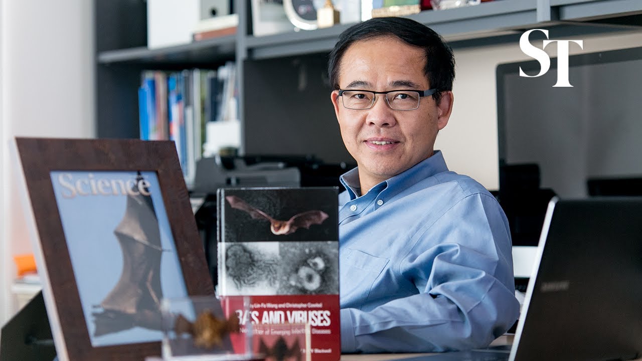 Rise above blame games to common challenge, urges top zoonotic diseases ...