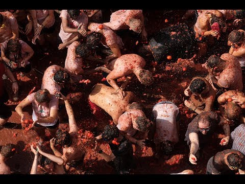 Thousands hurl tomatoes in Spanish food fight | The Straits Times