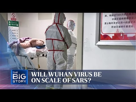 Wuhan virus and Sars are as different as cats and dogs, researchers say ...