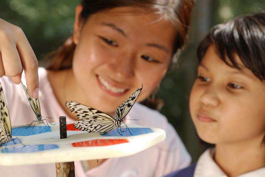 Kids all abuzz: 10 school holiday activities for children | The Straits ...