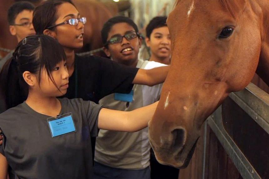 Time with horses helps kids improve their lives | The Straits Times