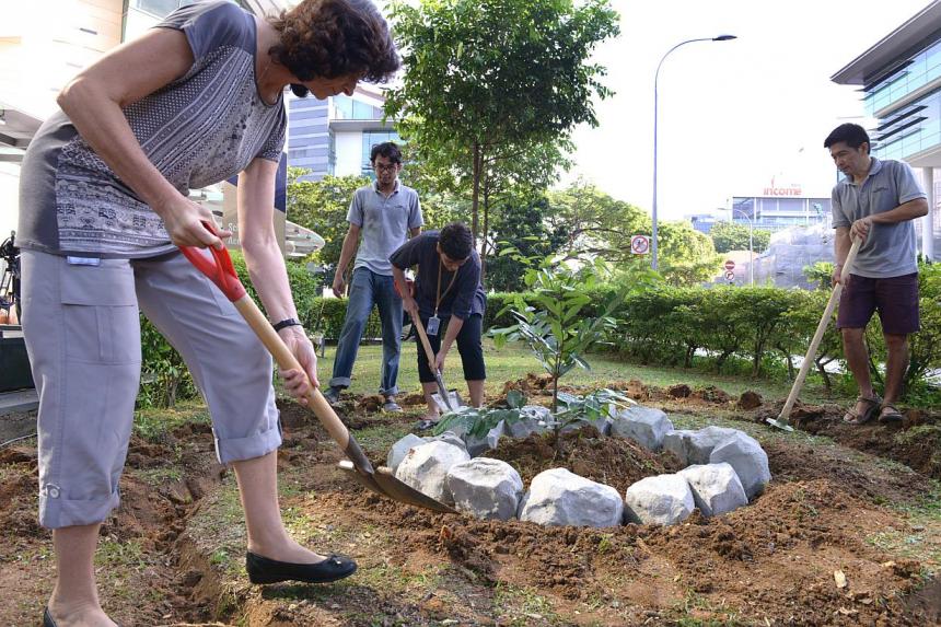 SMU launches Grow initiative: Other places in Singapore where urban ...