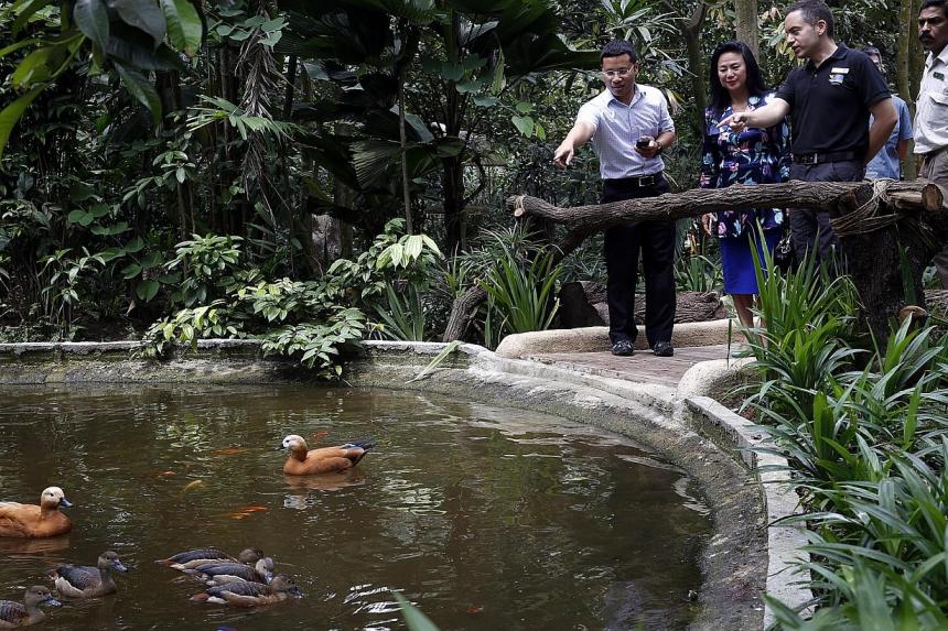New aviary opens at Jurong Bird Park | The Straits Times
