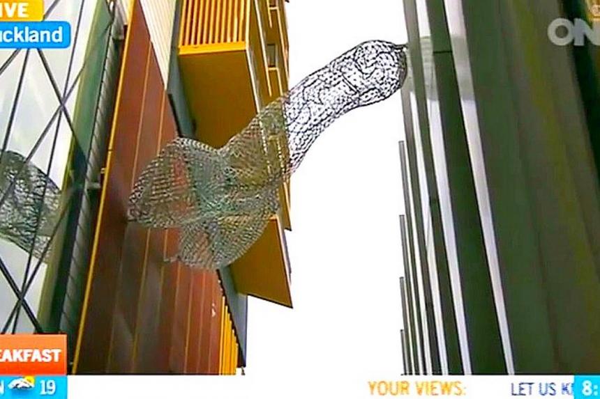 Phallic-looking sculpture at New Zealand transport hub causes a stir ...