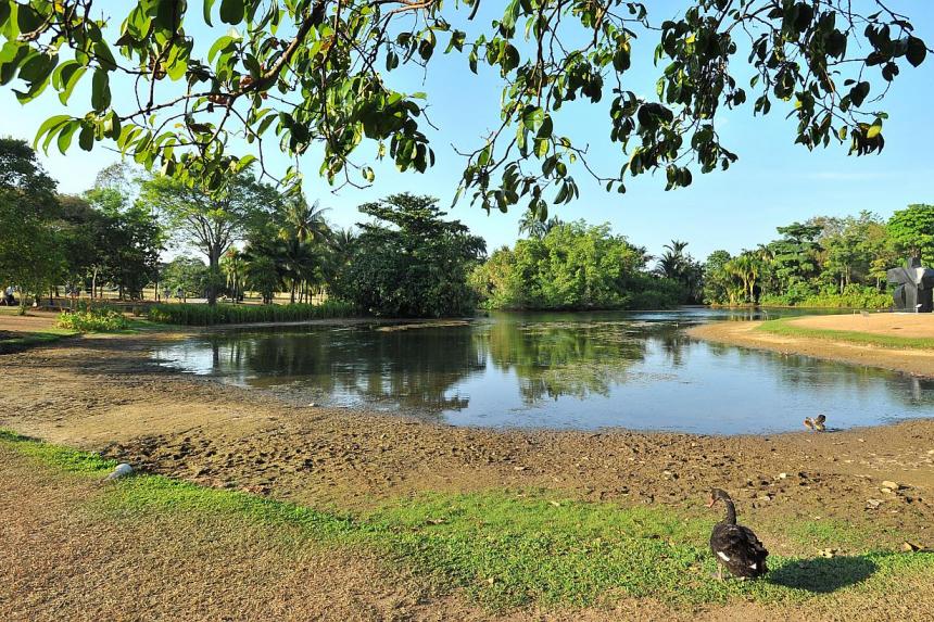 NEA weather forecast: Temperatures to hit 35 deg C on some days in next ...