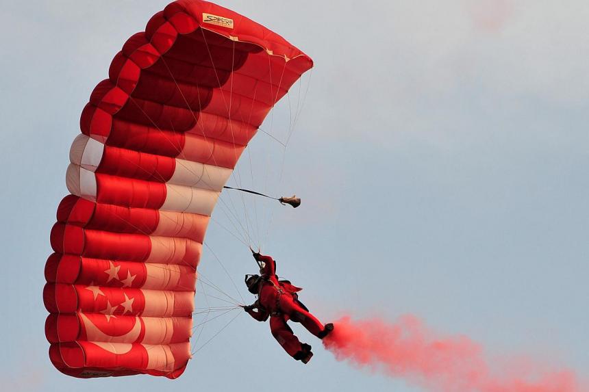 Red Lions name dropped: What should the Singapore aquatic athletes call ...
