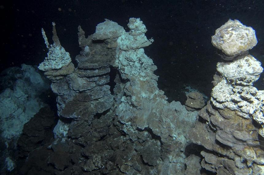 Deep-sea microbes called missing link for complex cellular life | The ...