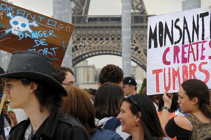 Thousands worldwide march against biotechnology giant Monsanto and GM ...