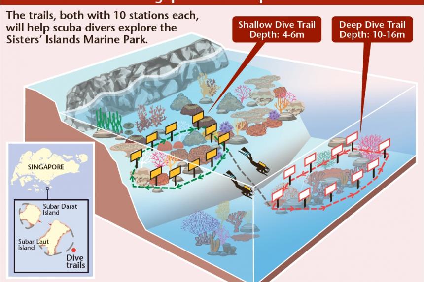 Graphic: 2 dive trails for Singapore marine park | The Straits Times